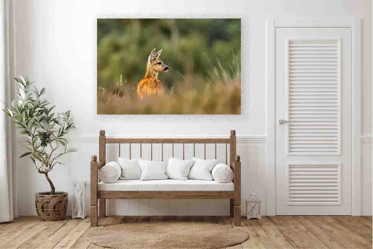 Fine Art Photographic Print - Curious Fawn - PostersPhotography