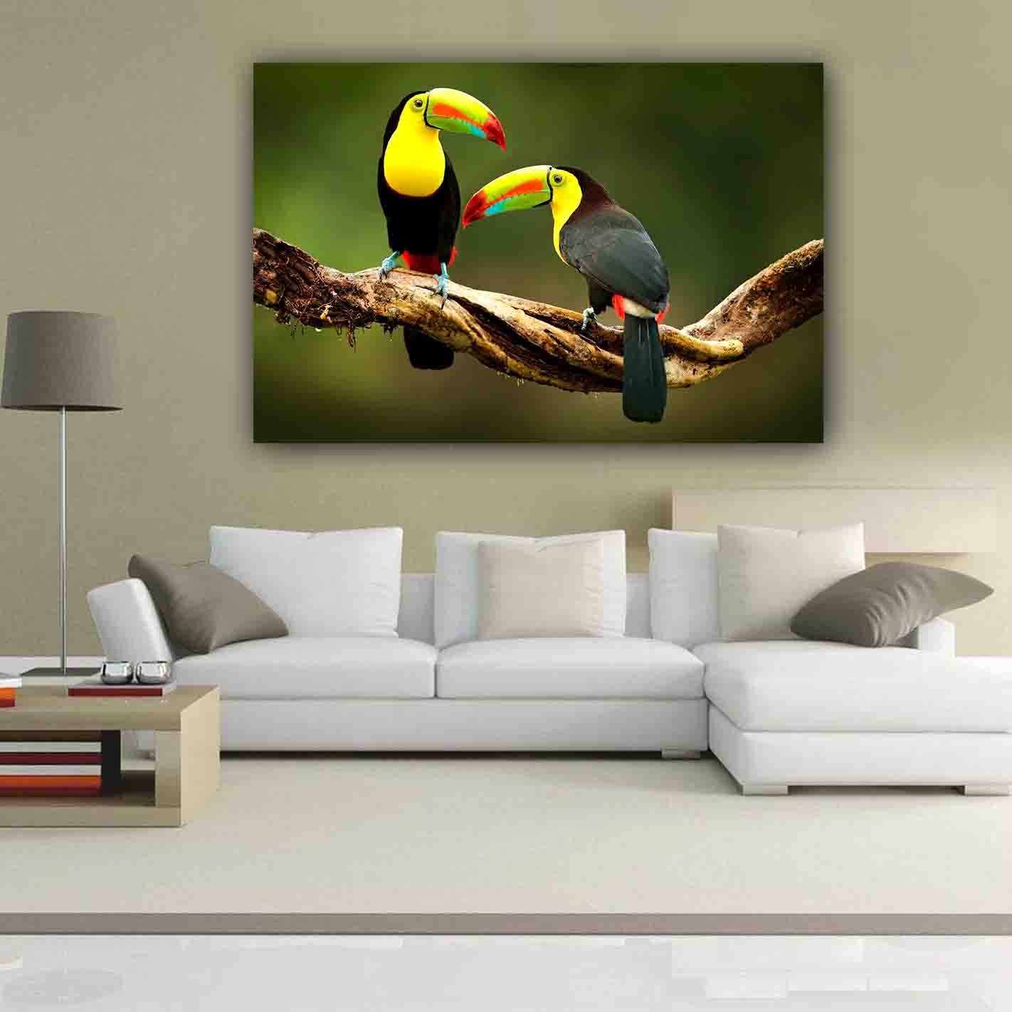 Fine Art For Sale- The Keel Billed Couple - PostersPhotography