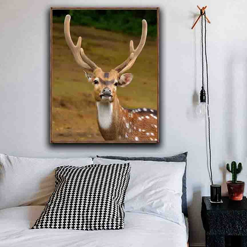 Animals in Nature - Spotted Deer - PostersPhotography